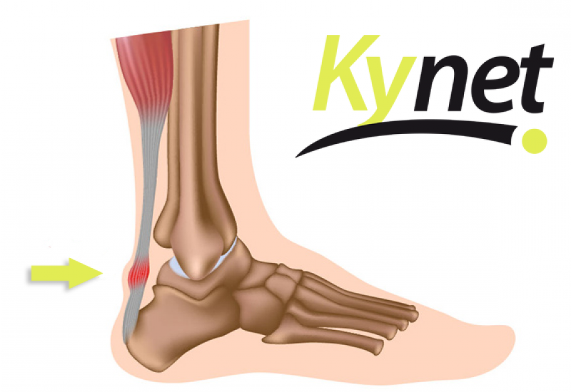 Kynet - Medicina del Deporte